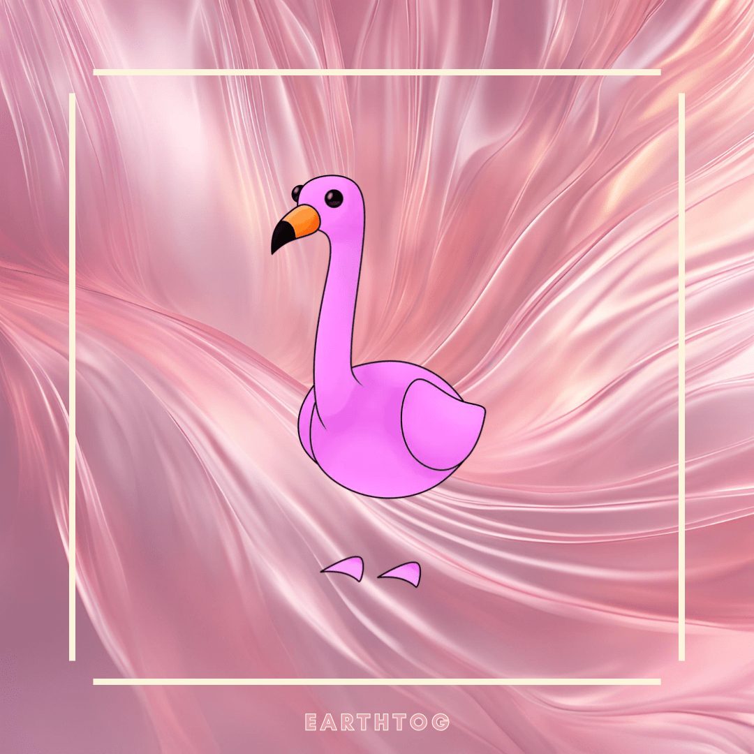 FR Flamingo - Earthtog.com